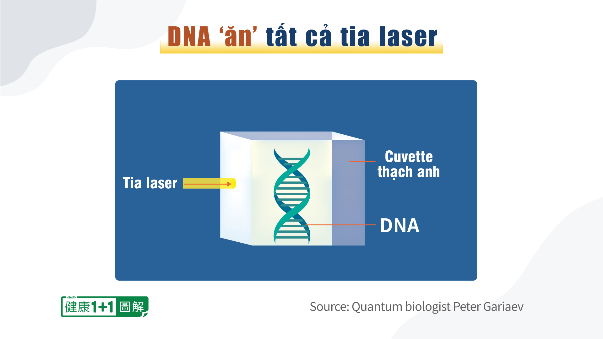 CHUYÊN ĐỀ PROTEIN GAI: Tổn thương & Điều trị (P.2) | Sức Khỏe | Epoch ...